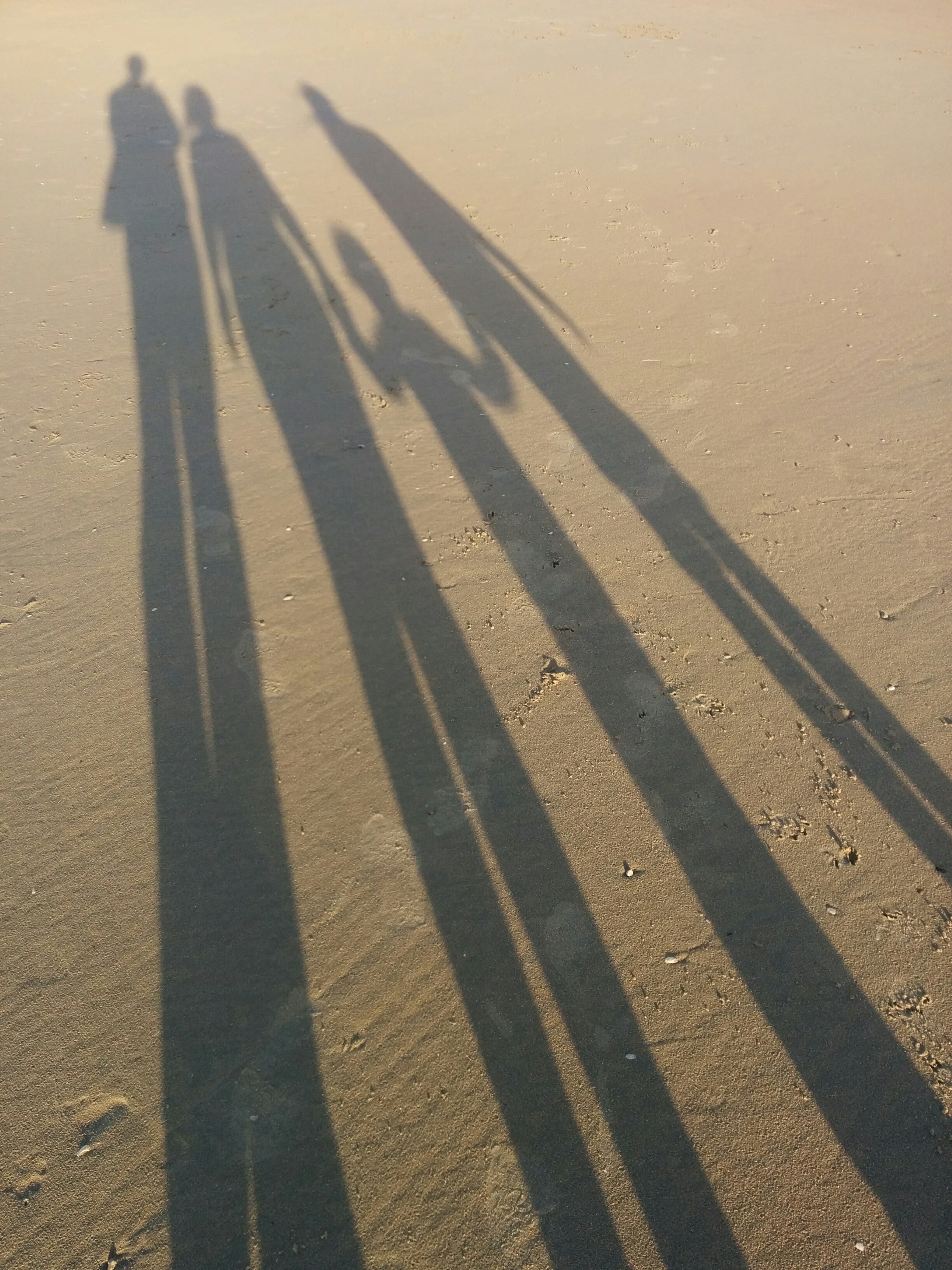 Sand Beach Shadow free image download