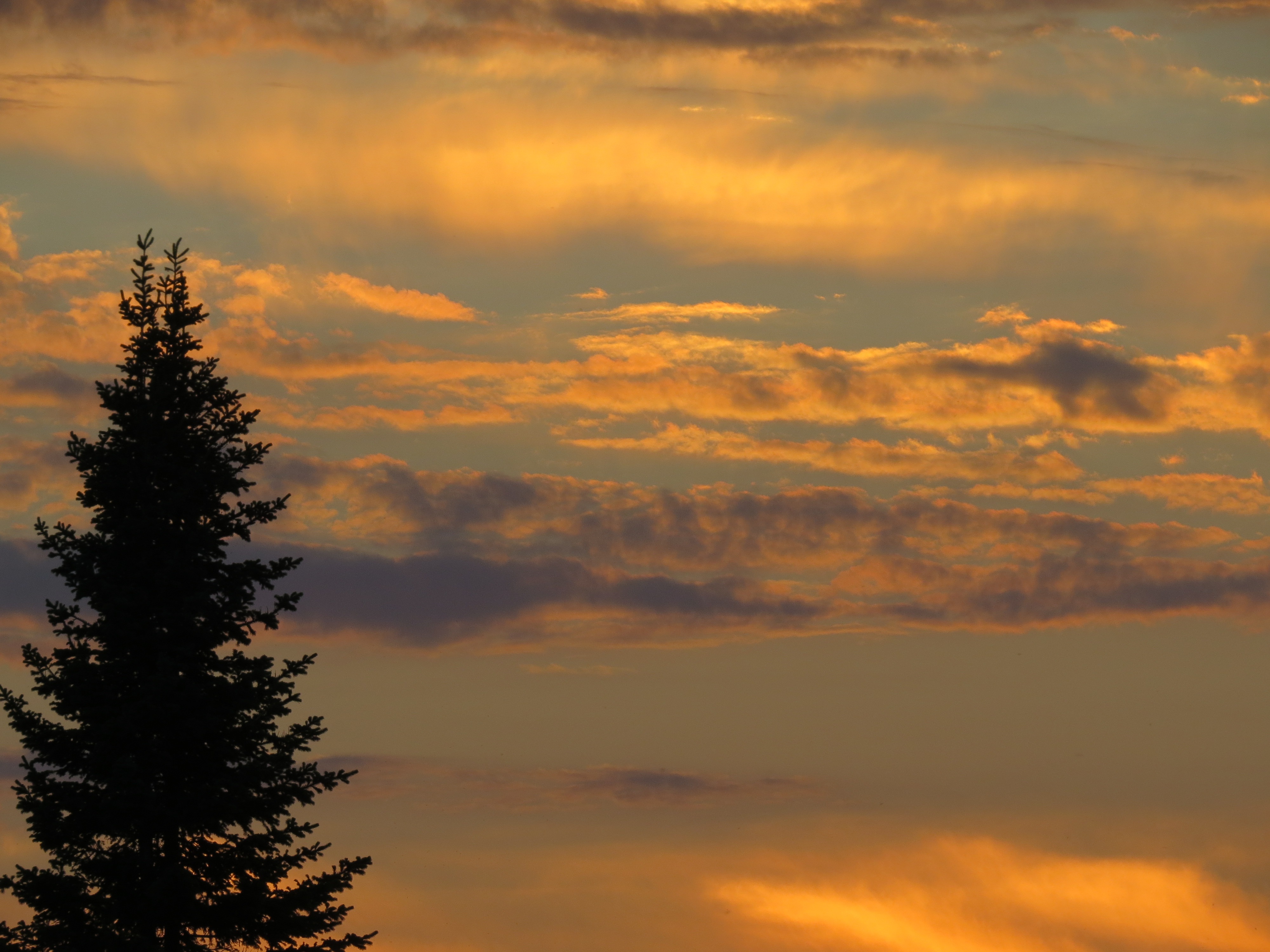Sunset Bright Efi free image download