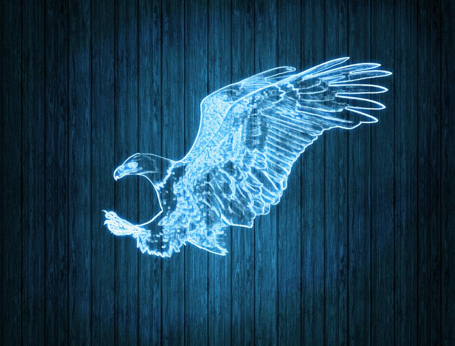 Eagle neon light glow blue prey free image download
