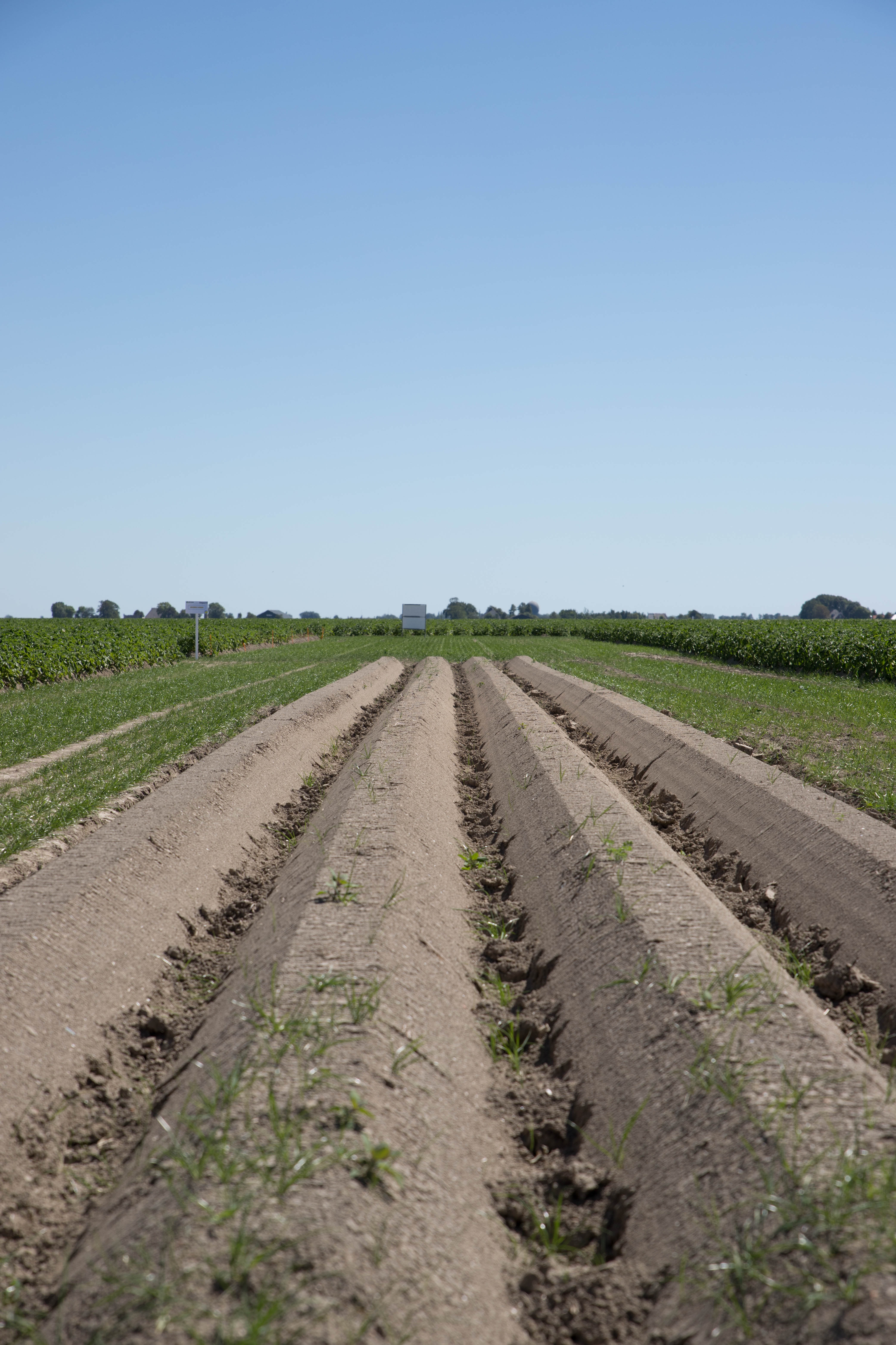 Fields harvest farm free image download