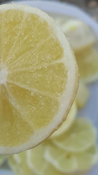 Slice of sour lemon free image download
