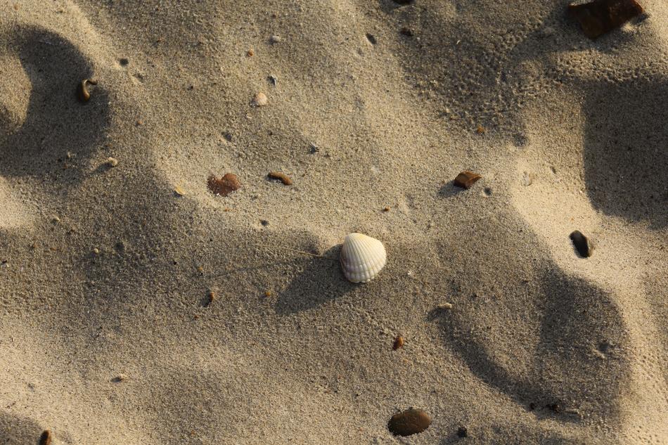 Beach Sand Summer free image download