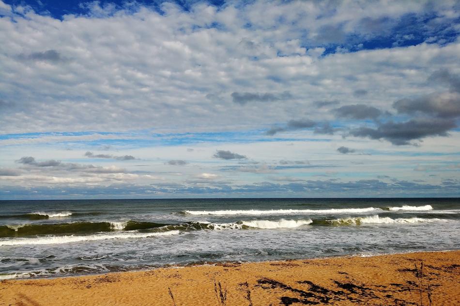 Beach Fall Flagler free image download