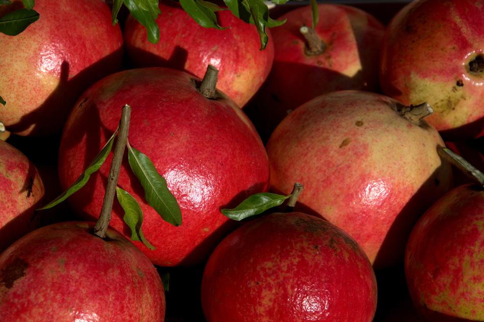 Fresh delicious red fruits free image download