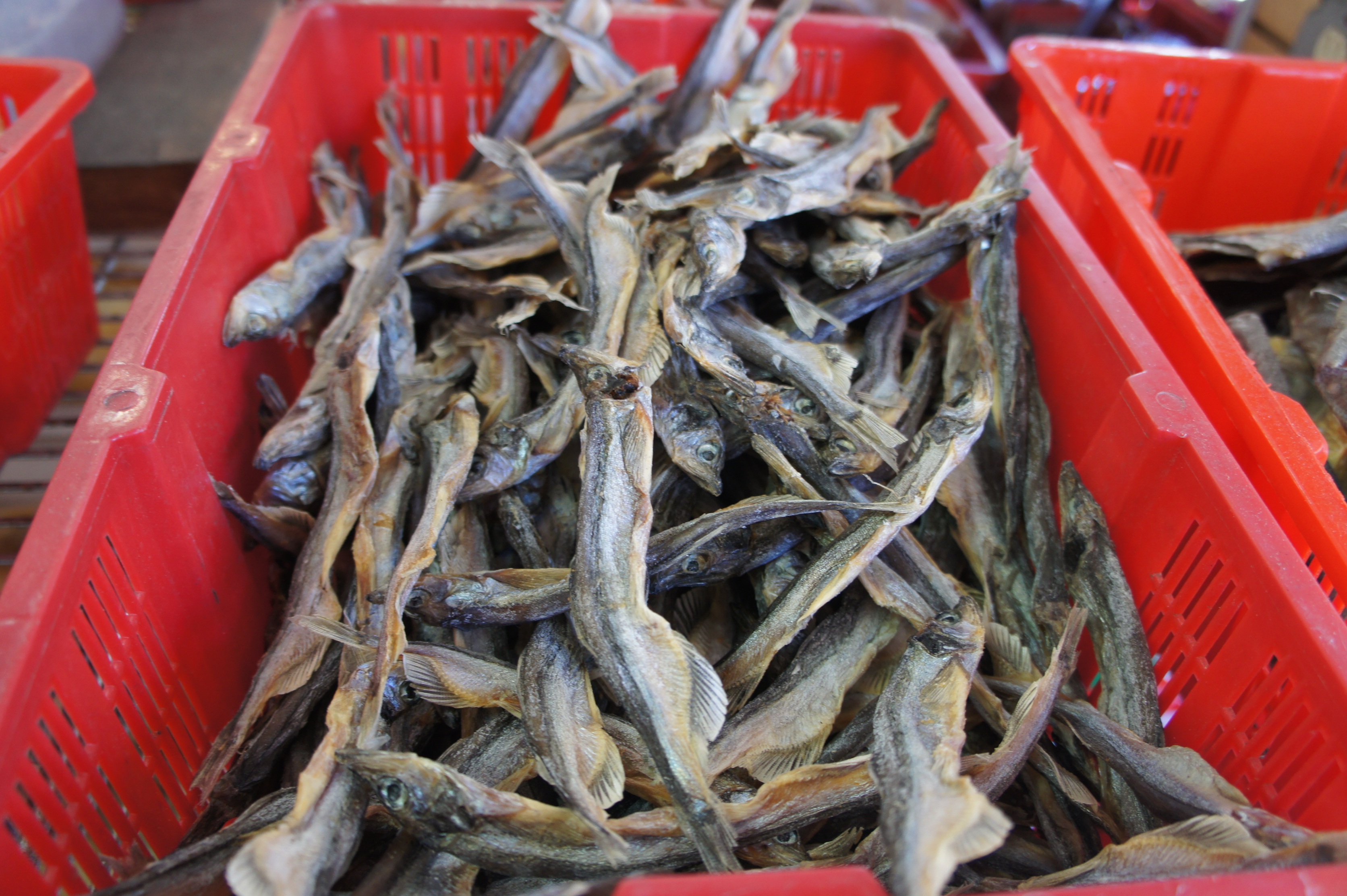 Dried fish in a box free image download
