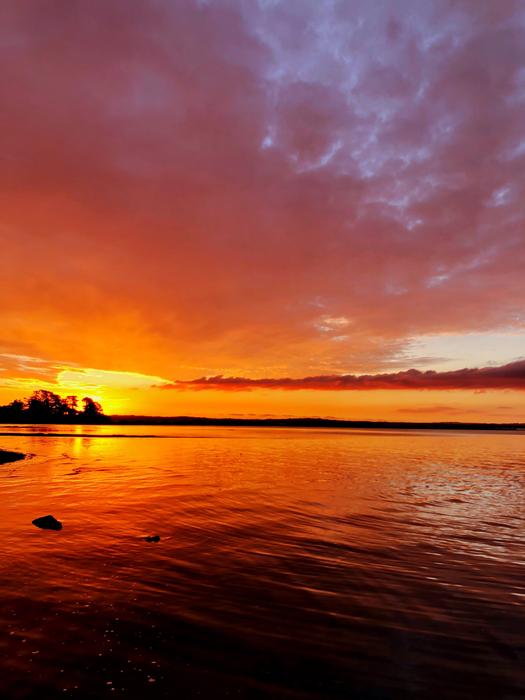 Sunset Auckland New Zealand Golden free image download