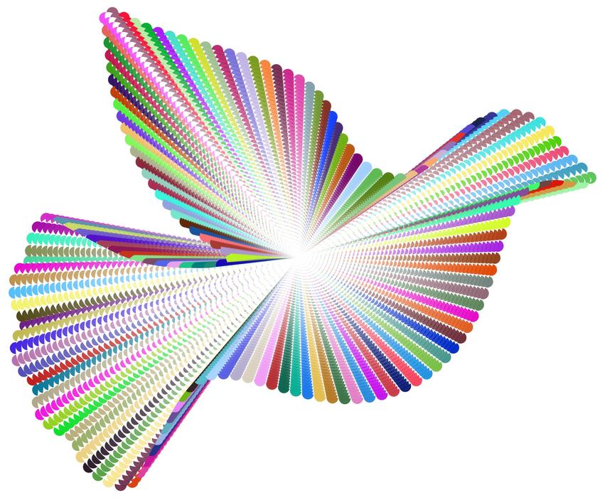 Dove bird animal flying peace free image download
