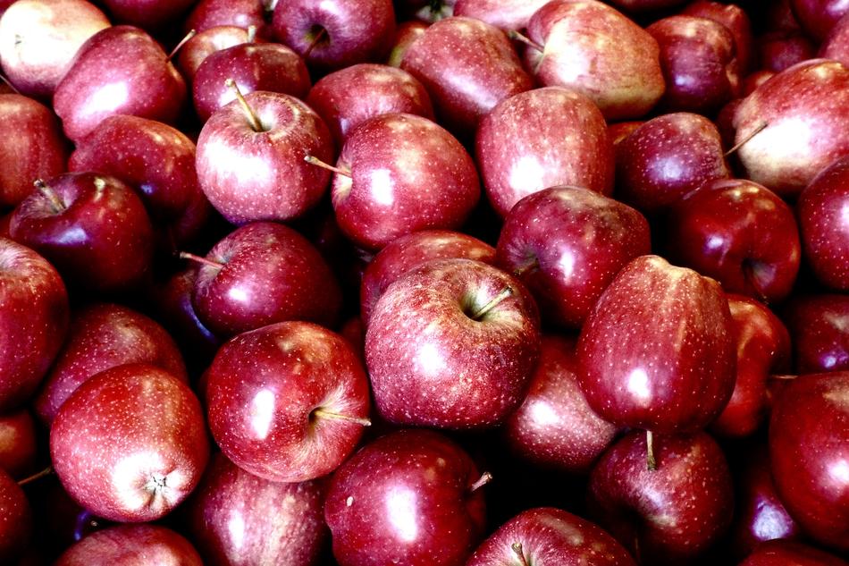 The harvest of sweet apples is delicious free image download
