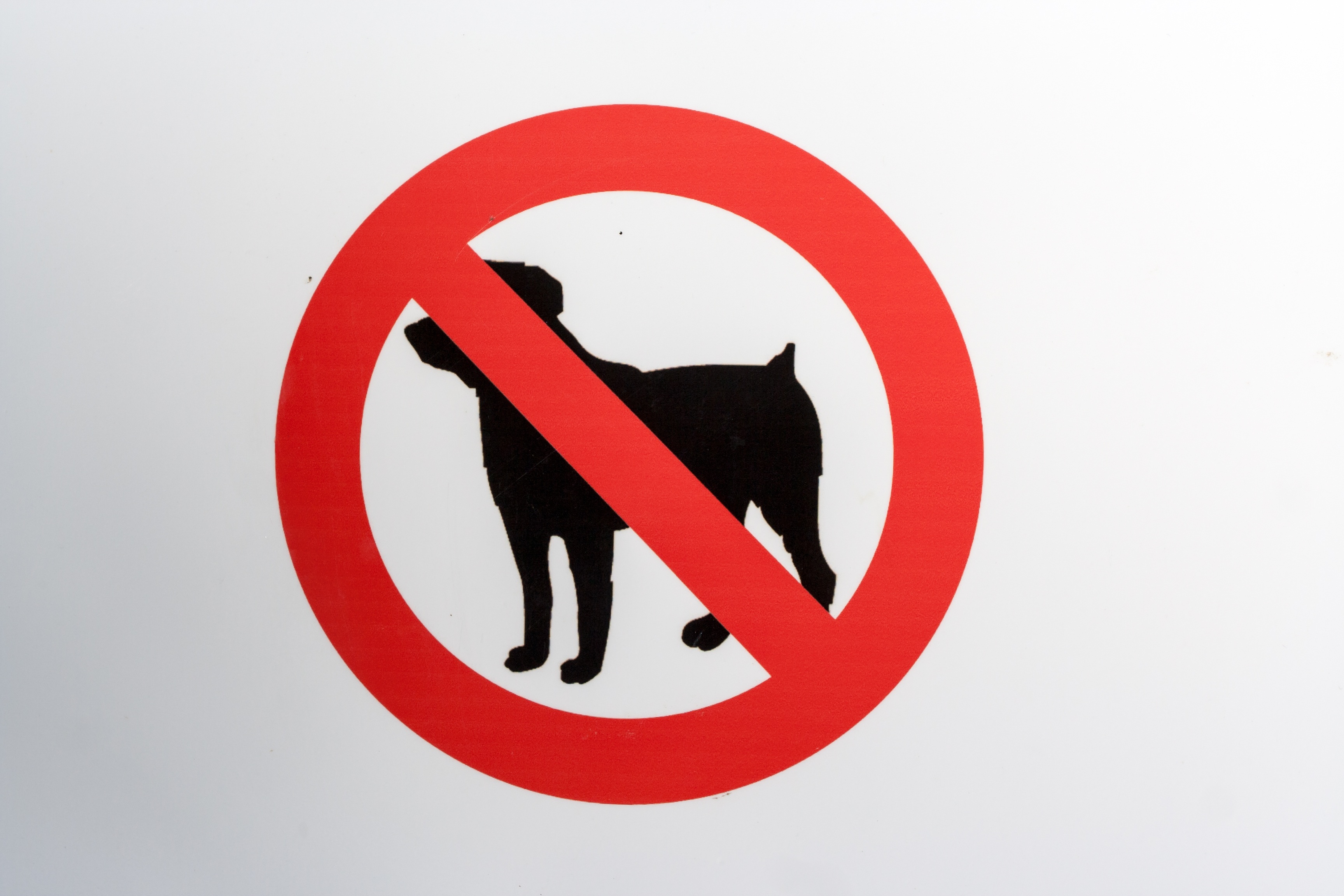 Sign Ban Red free image download