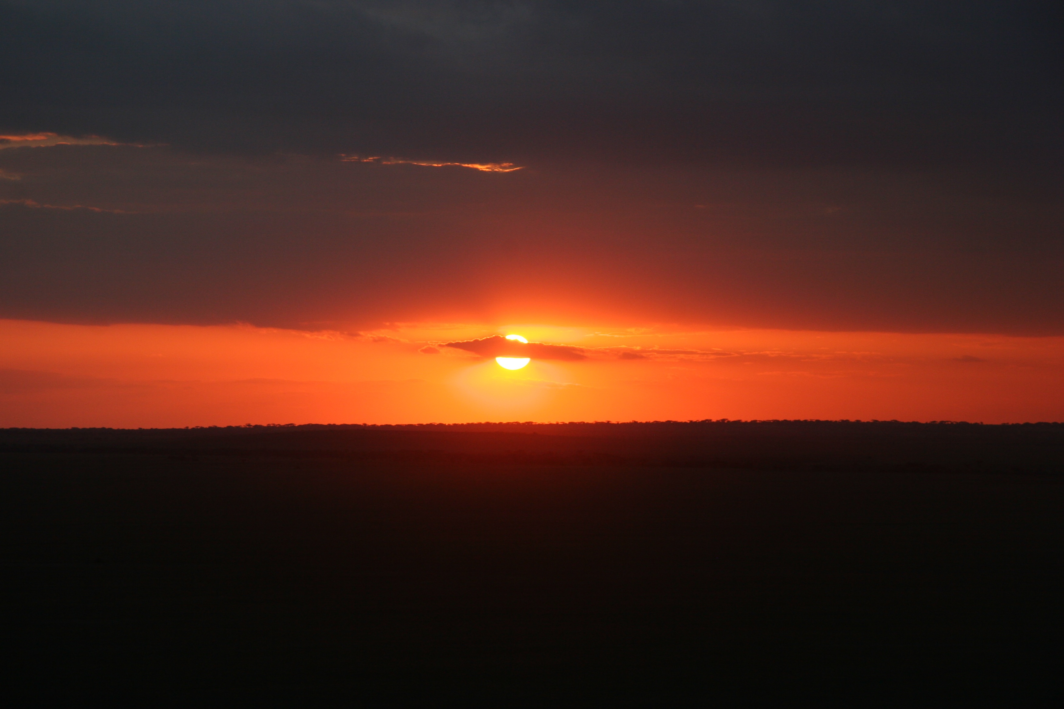 Sunset Africa Tan free image download