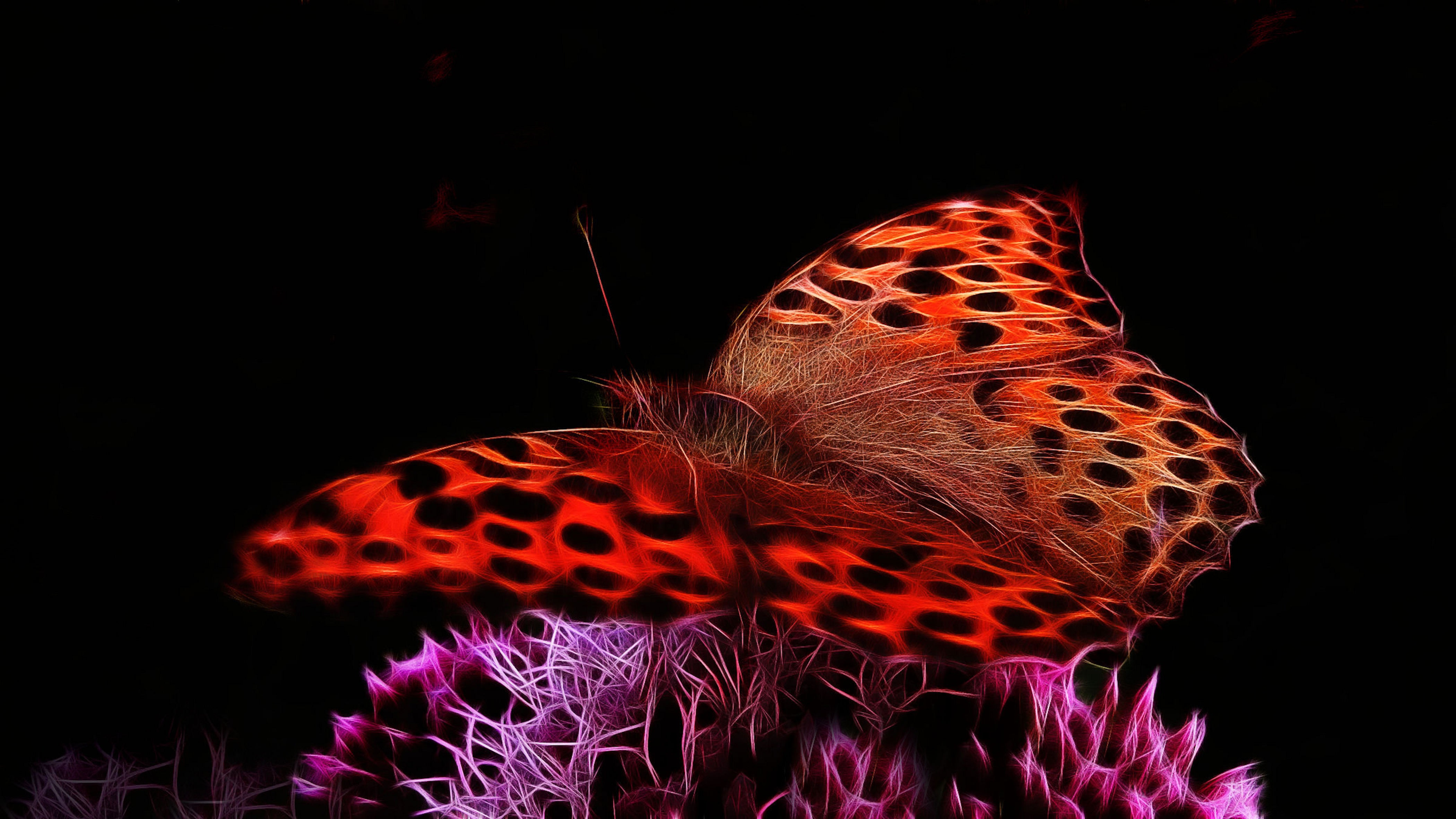 Fractalius mother of pearl butterfly free image download