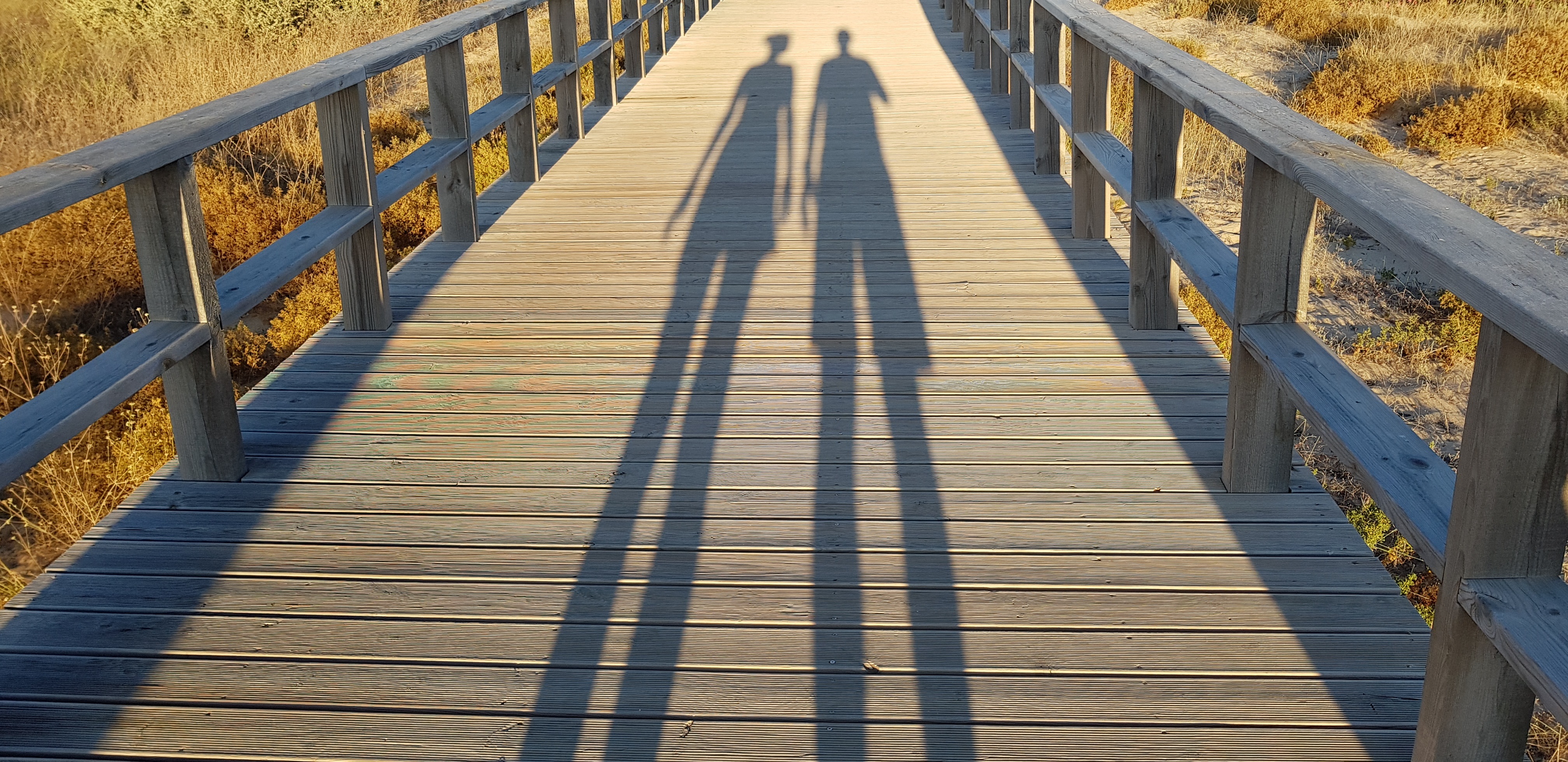 Shadow Sunset free image download