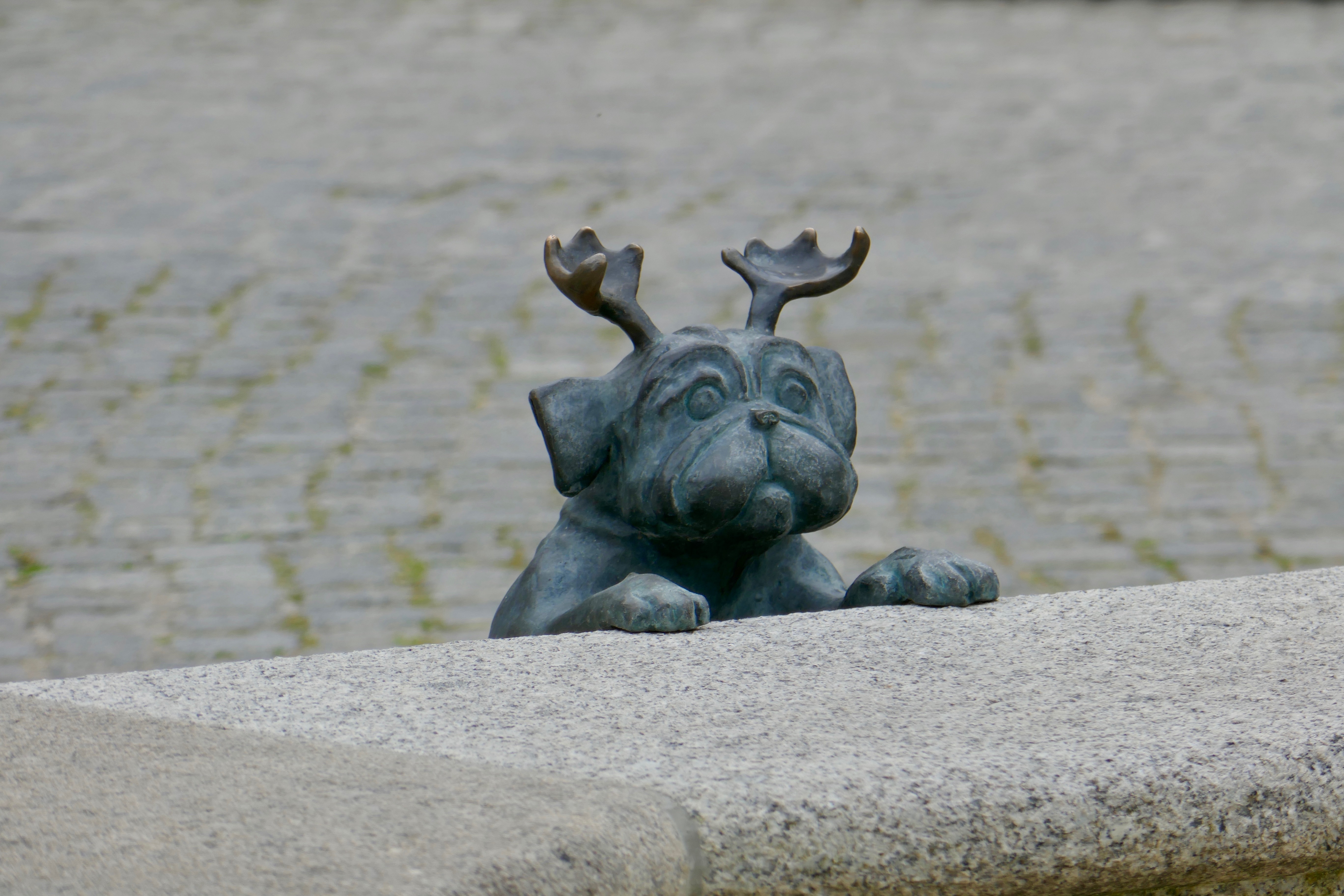 Pug Loriot Brandenburg free image download