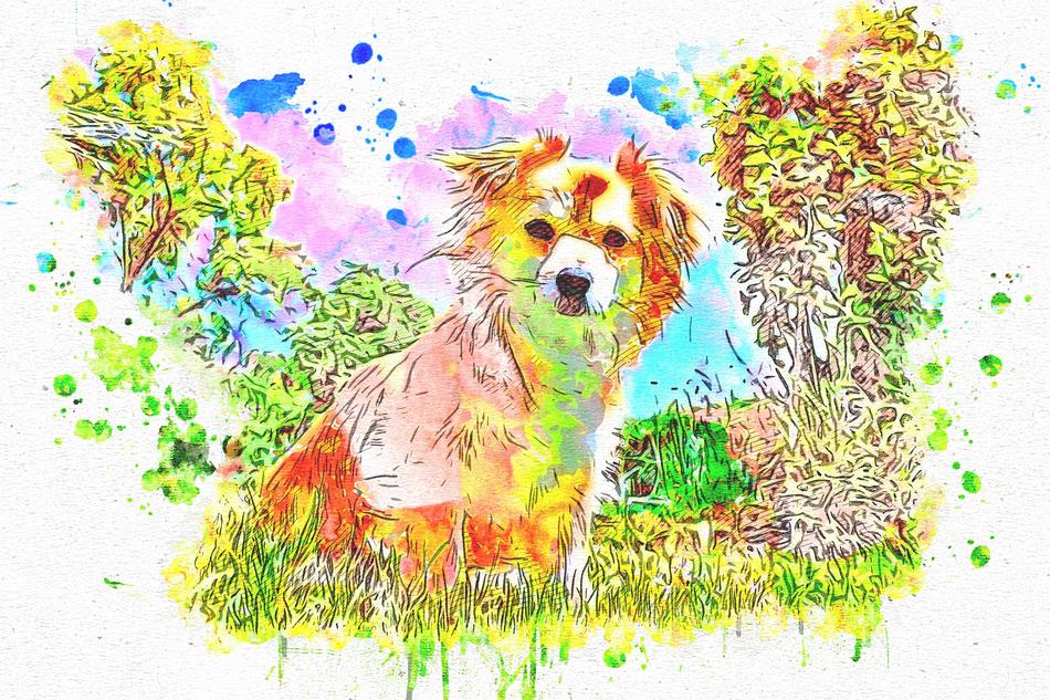 Dog animal art abstract watercolor free image download