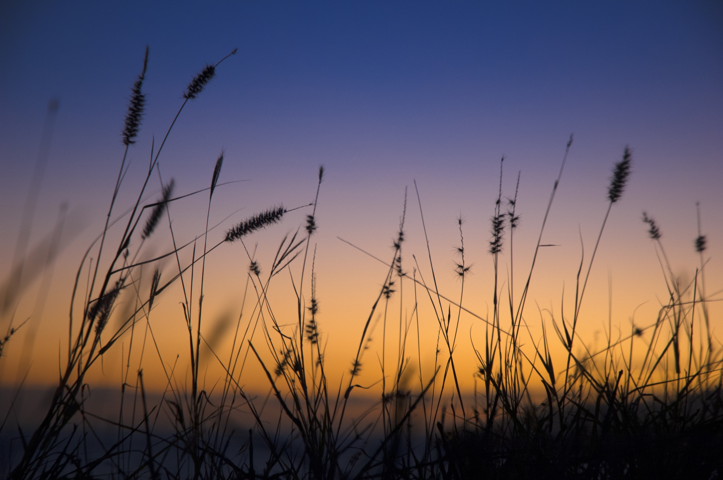 Sunset Sky Landscape free image download