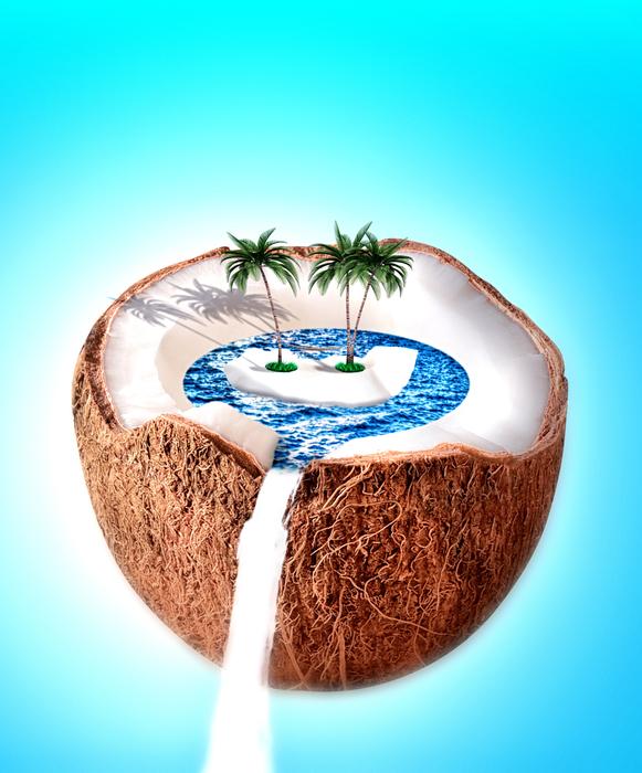 Coconut Sea Vacations free image download