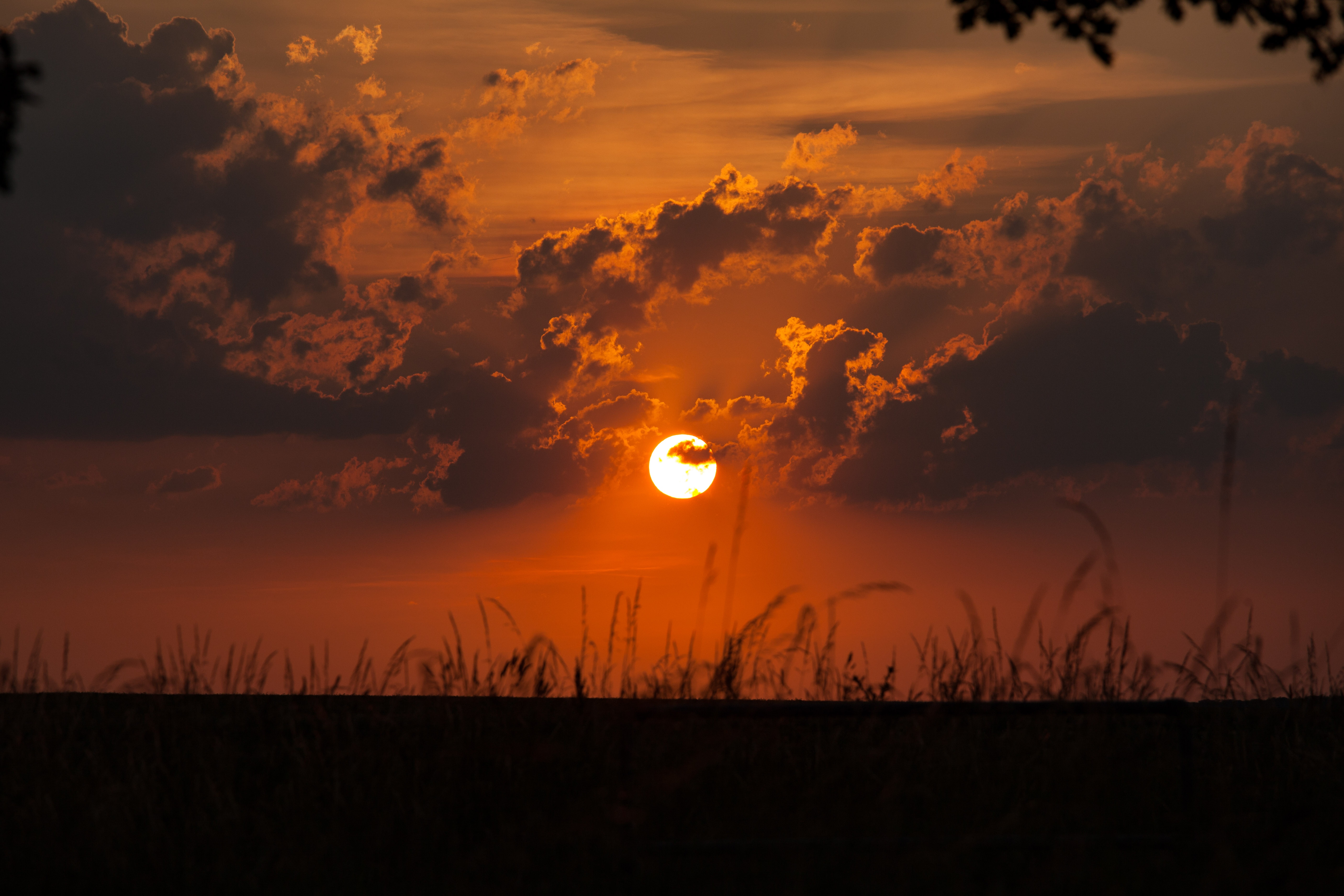 Sunset Red Sun free image download