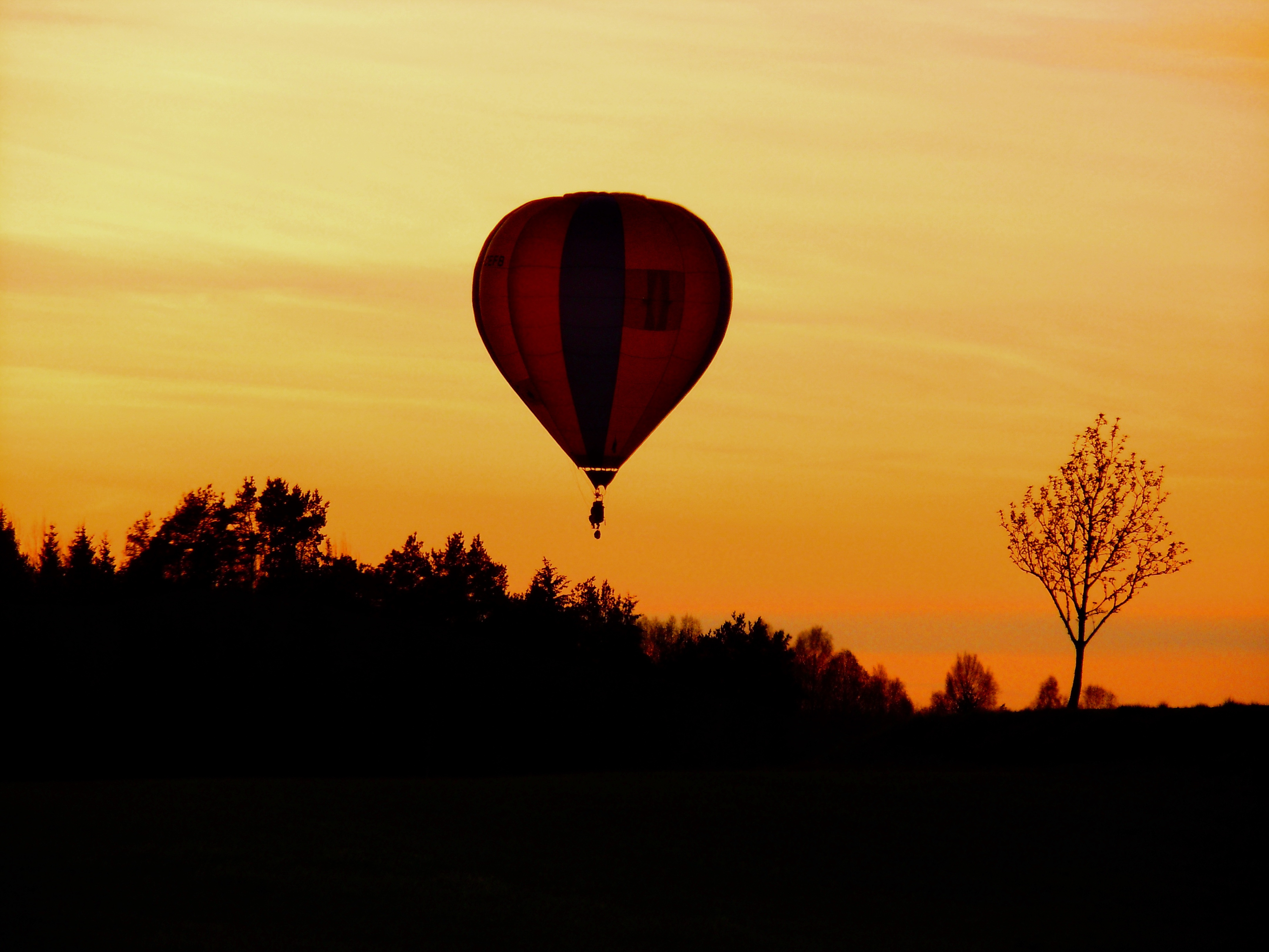 Flight Balloon Flying free image download
