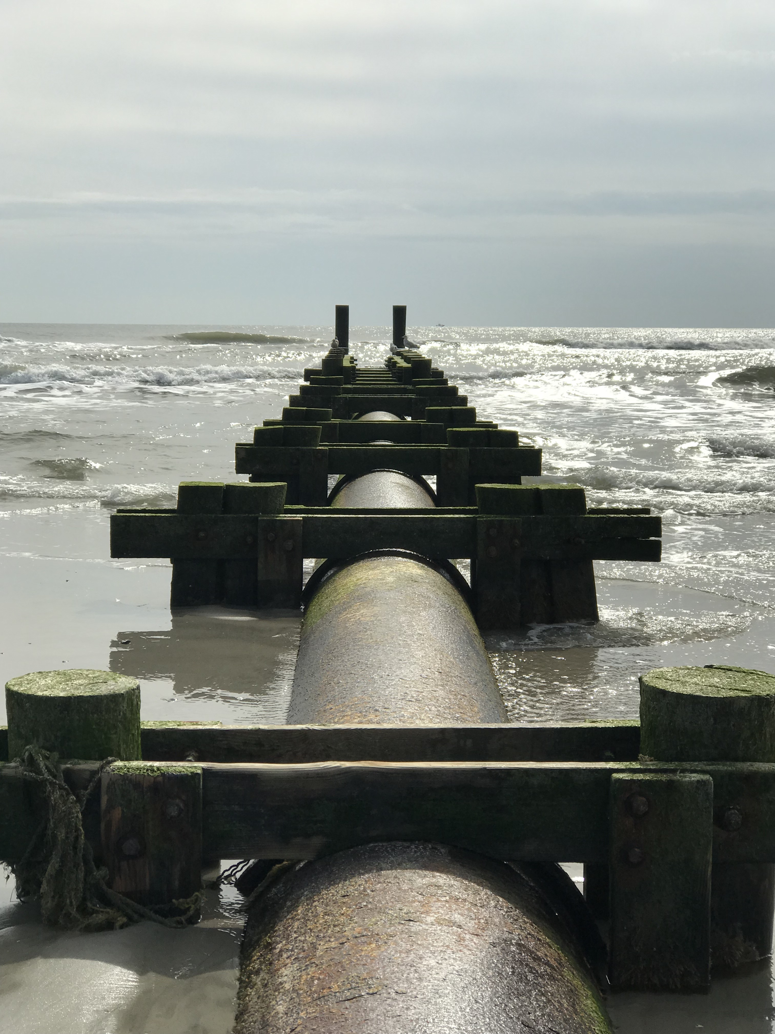 Grunge Ocean Beach free image download