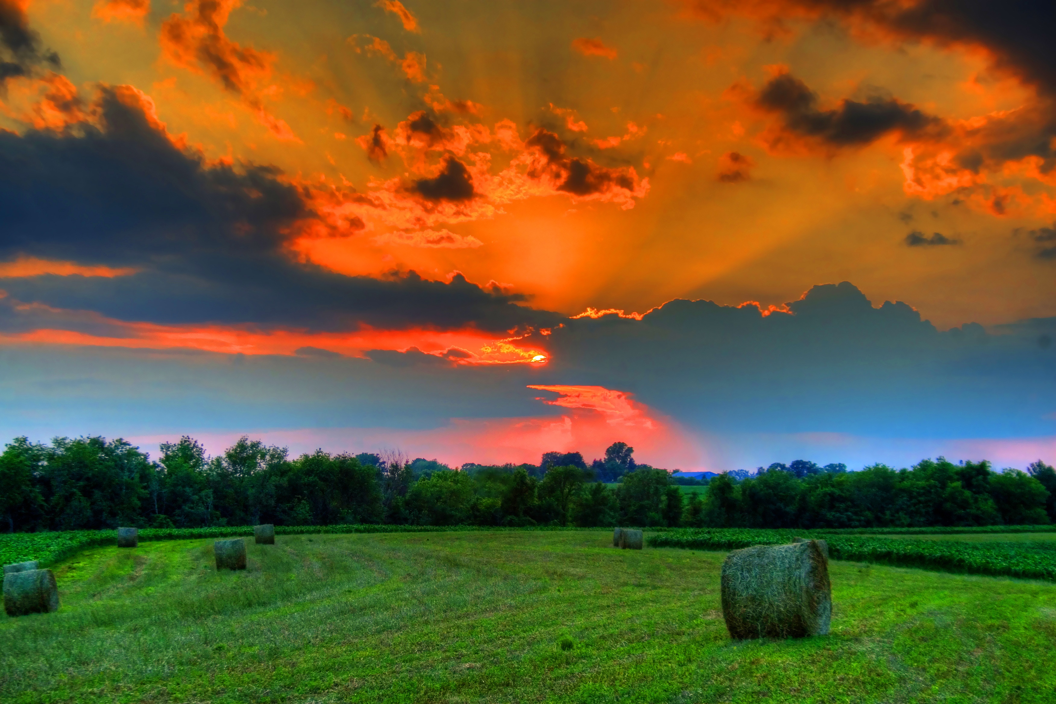 Field Sunset Landscape free image download