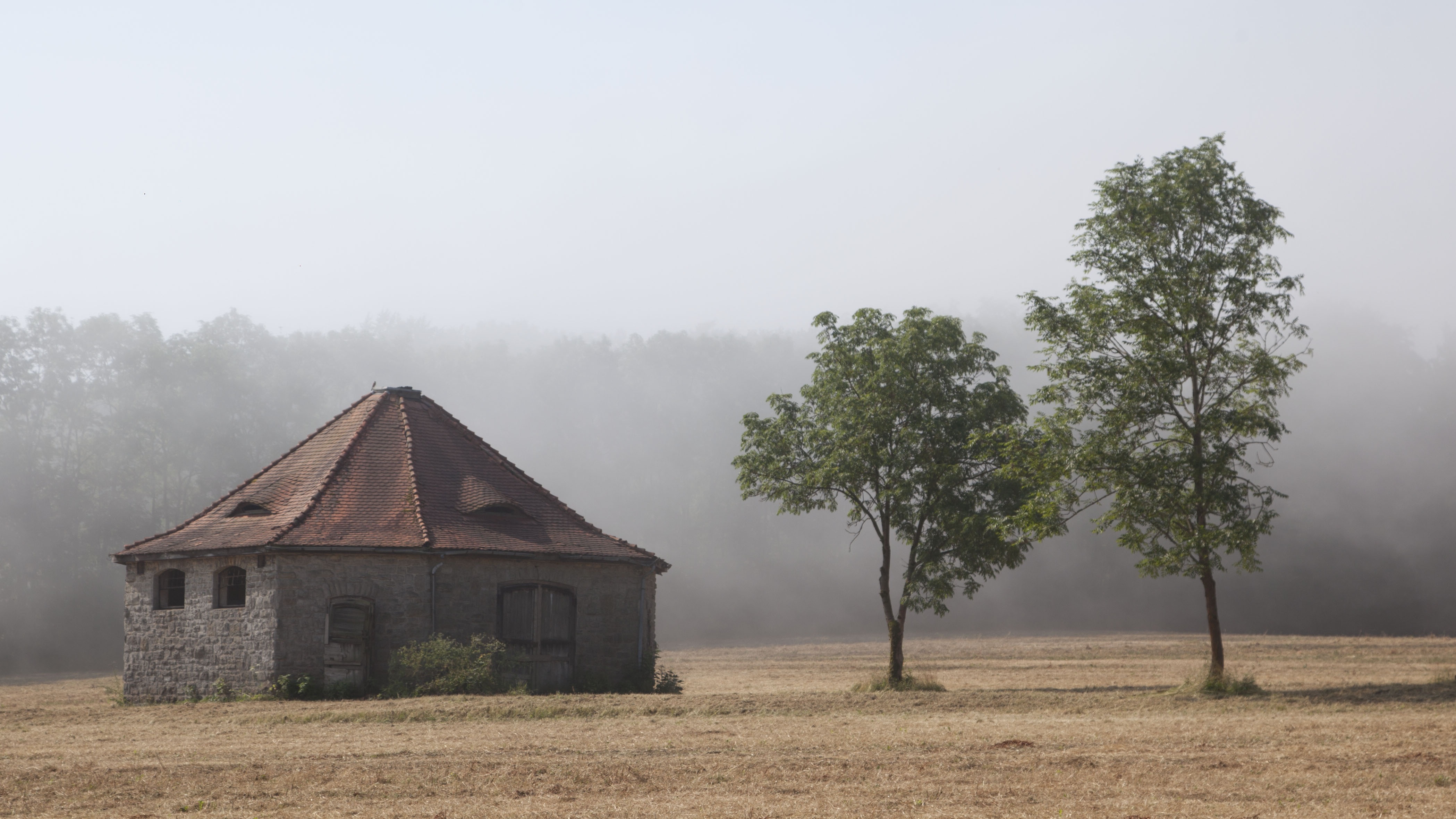Fog Building Landscape free image download