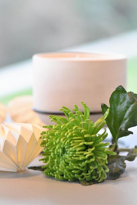 Decoration Deco Table Decorations free image download