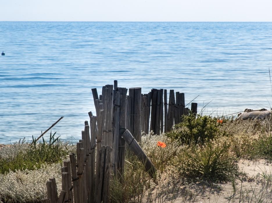 Beach Bank Sand free image download