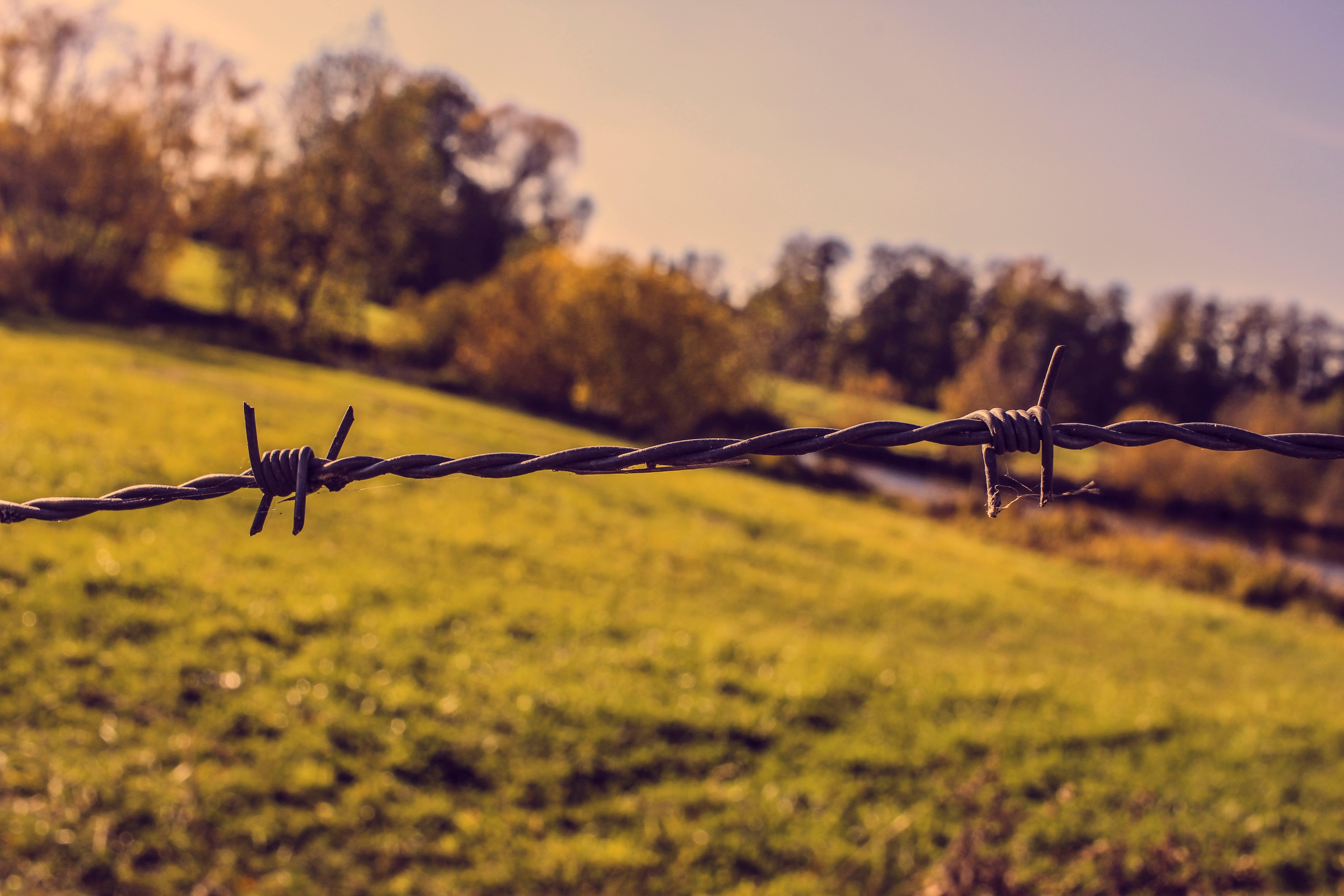 Pasture Fence Metal Wire Barbed free image download