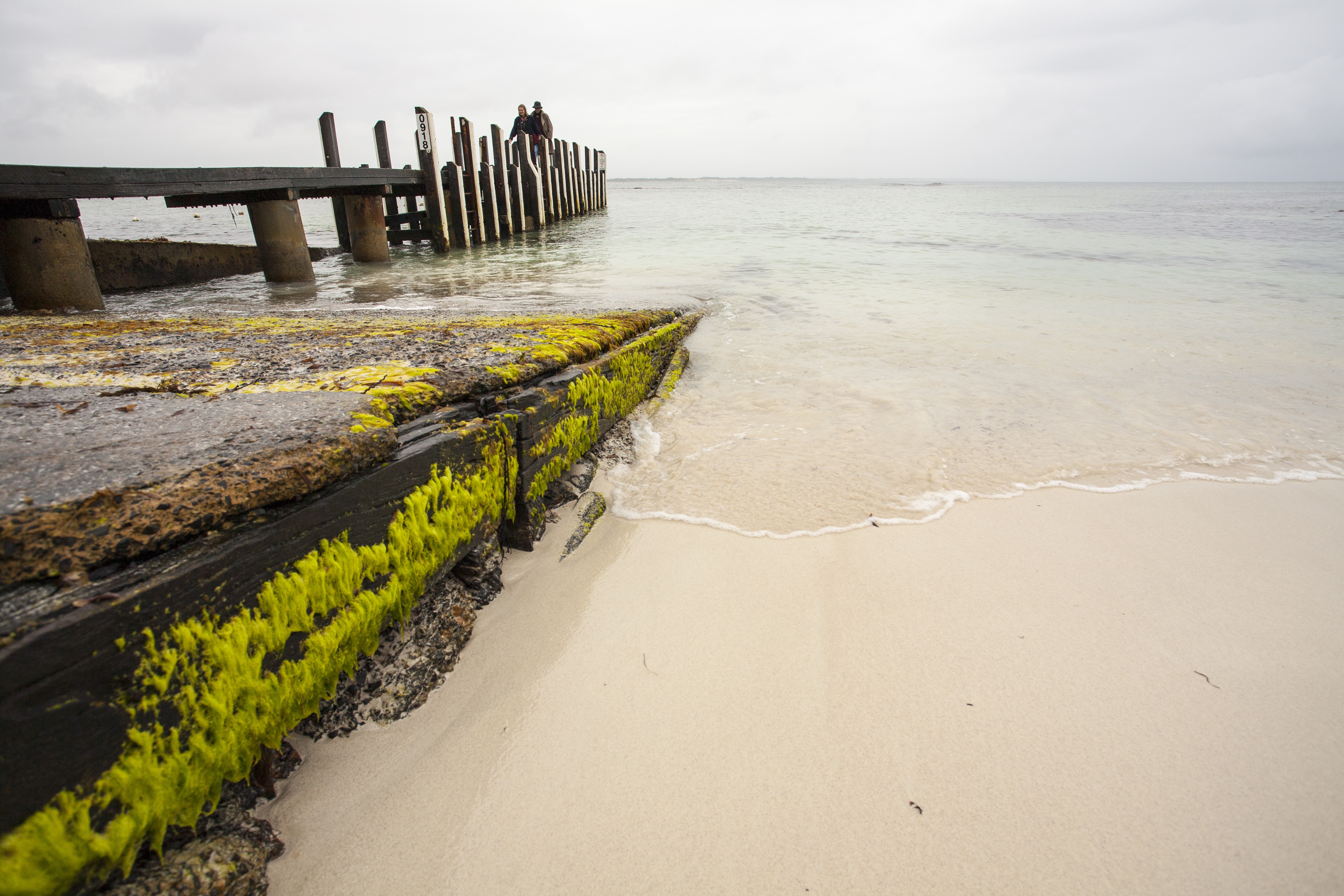 Ocean Pier Water free image download