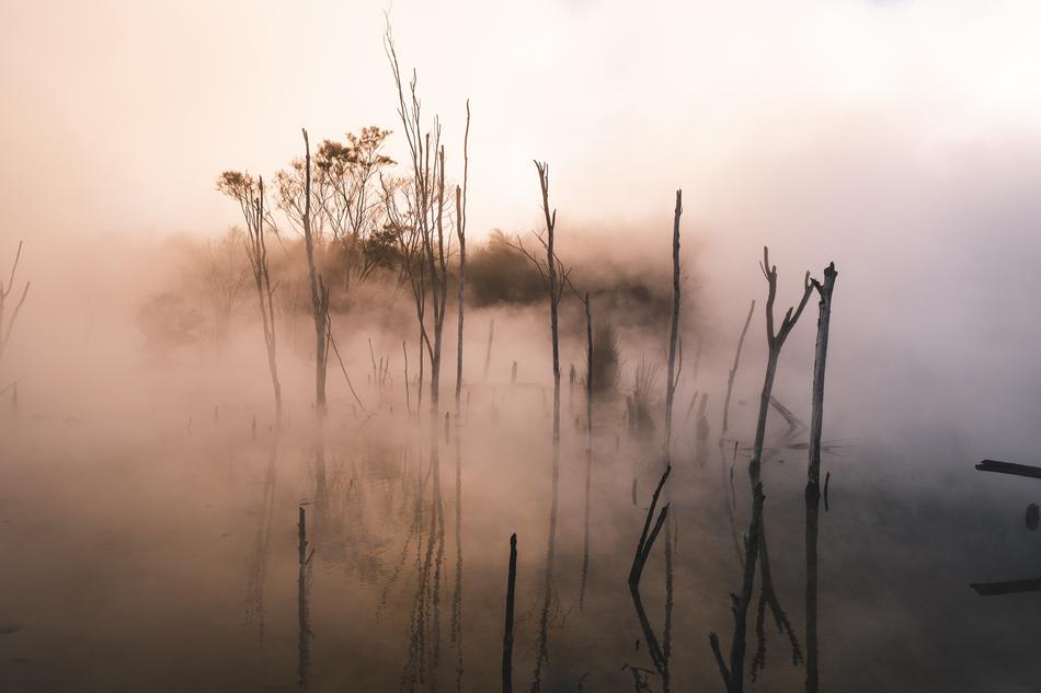 Water Sunset Trees free image download