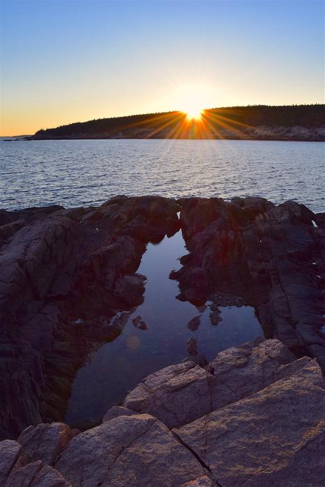 Sunset Rocks Water Pine free image download
