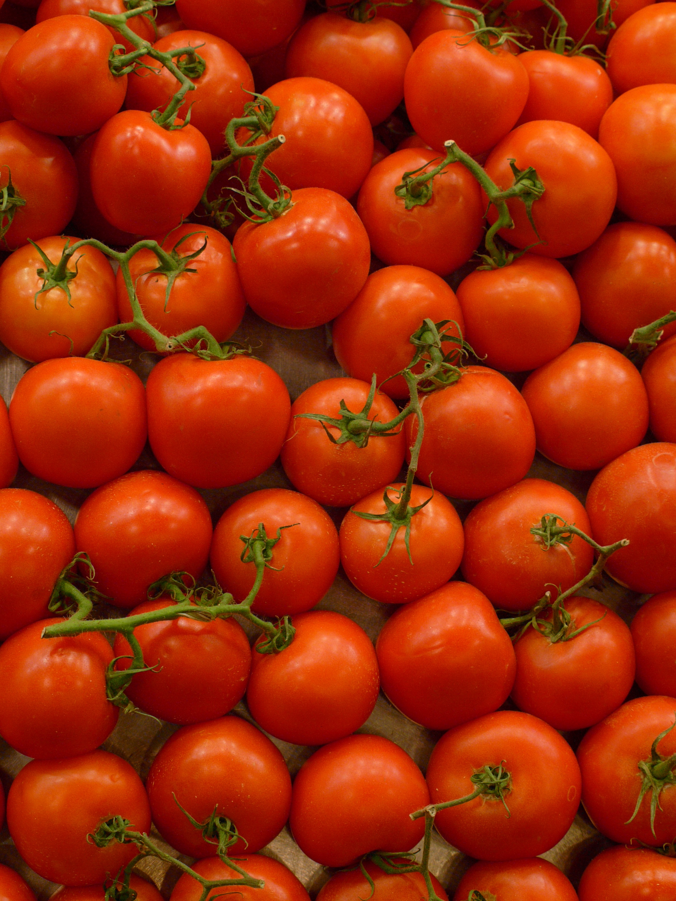 Juicy red ripe tomatoes free image download