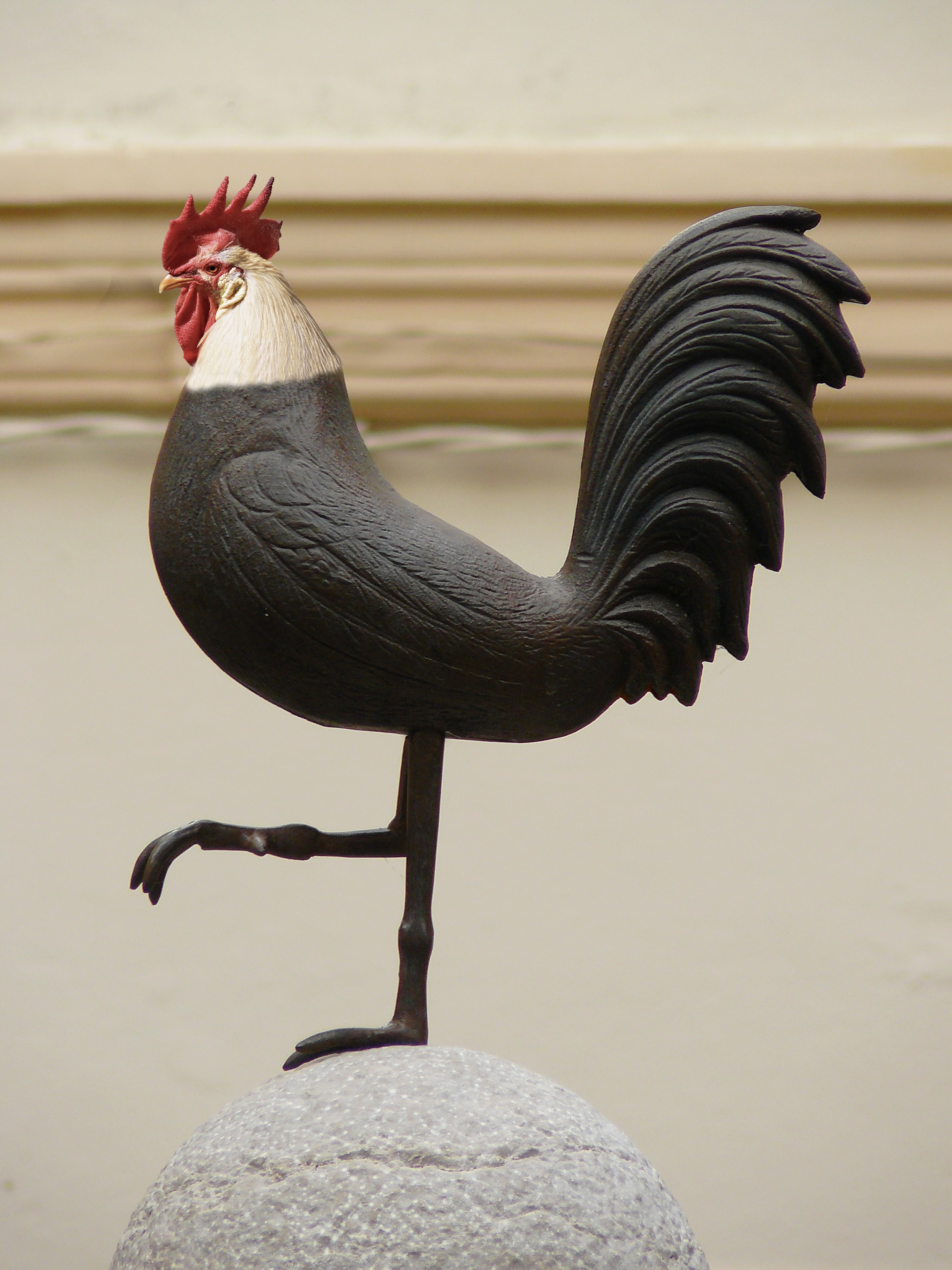 Hahn Statue Sculpture free image download
