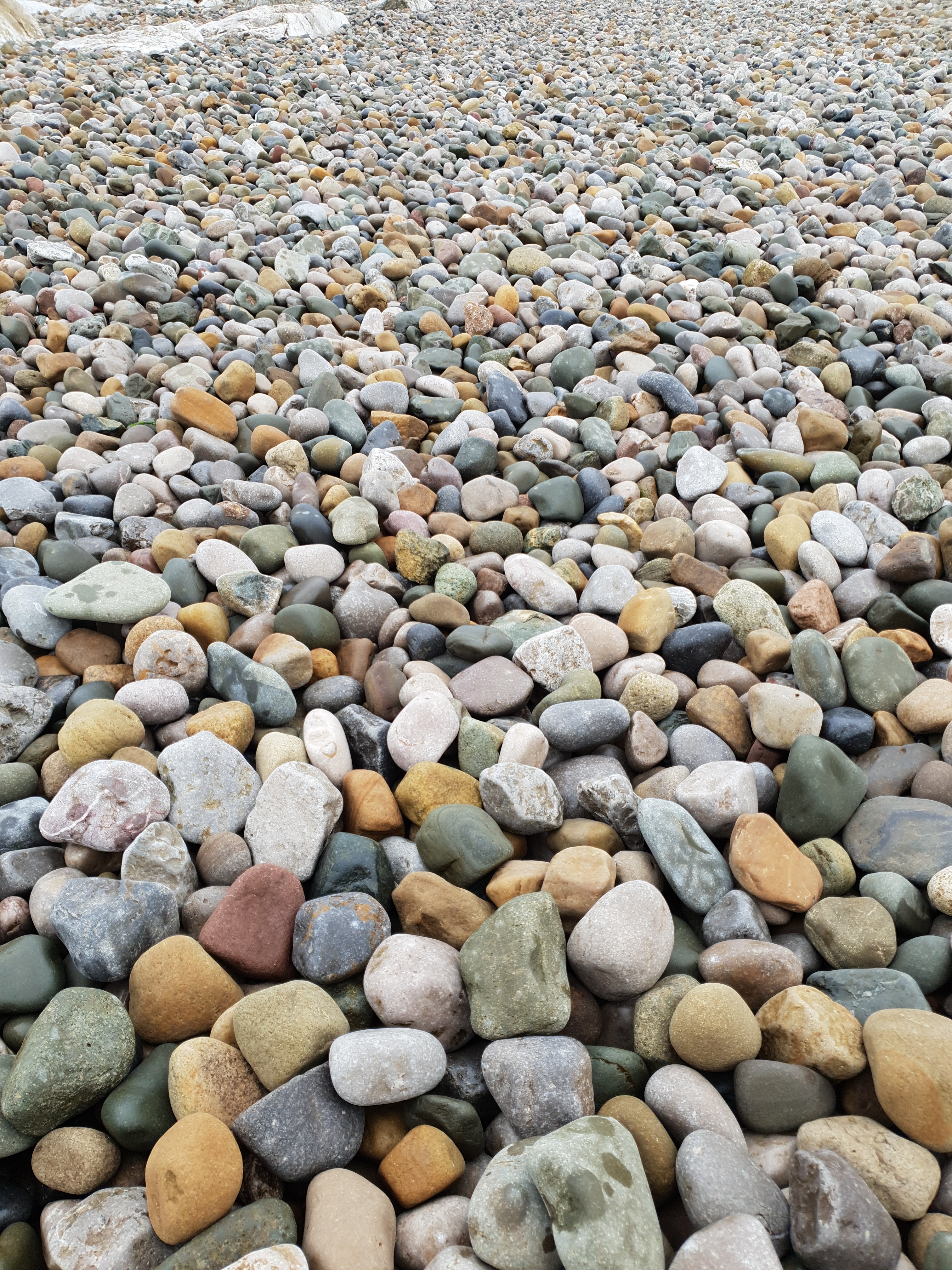 Beach Walk Impressions free image download