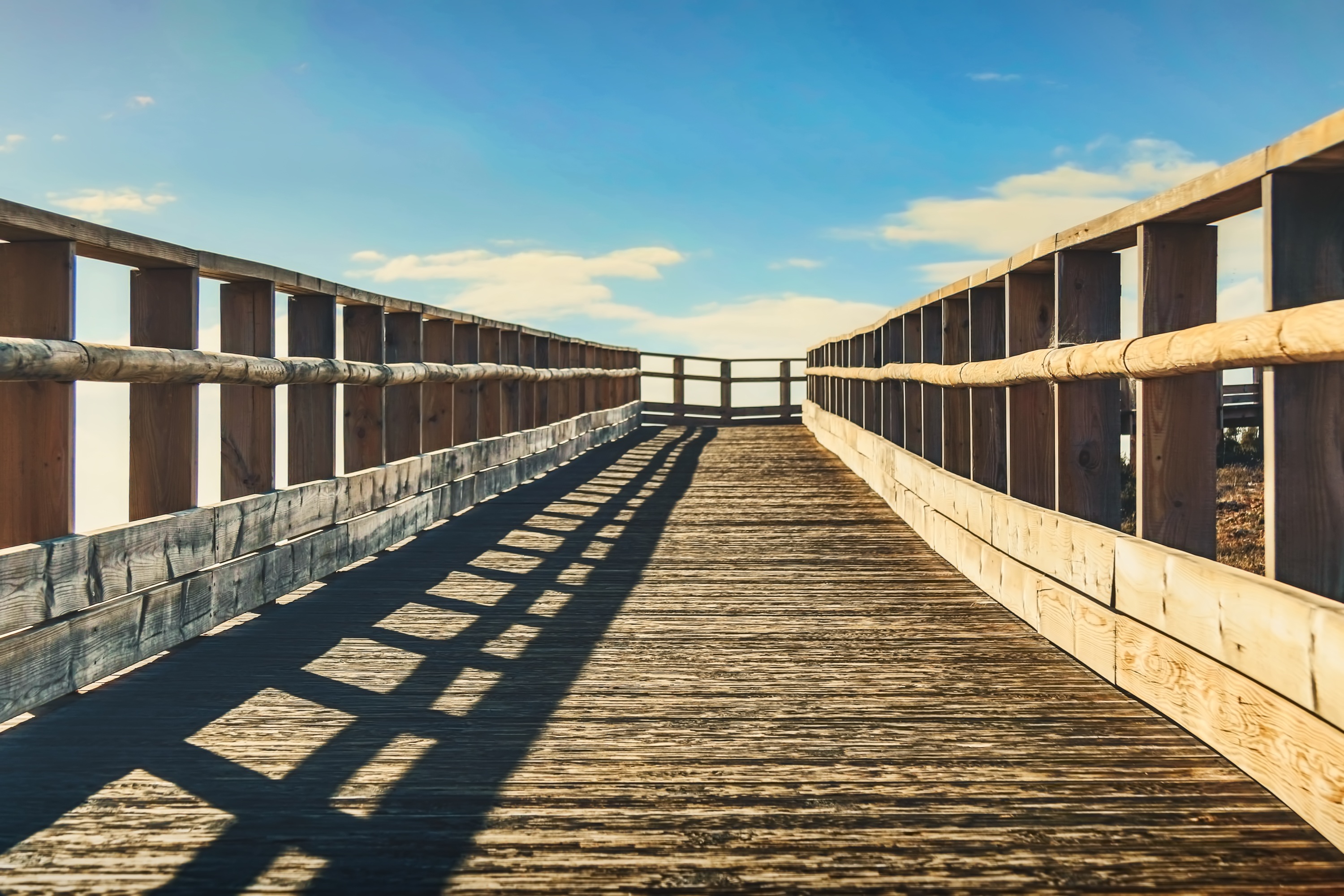 Catwalk Wood Sunny free image download