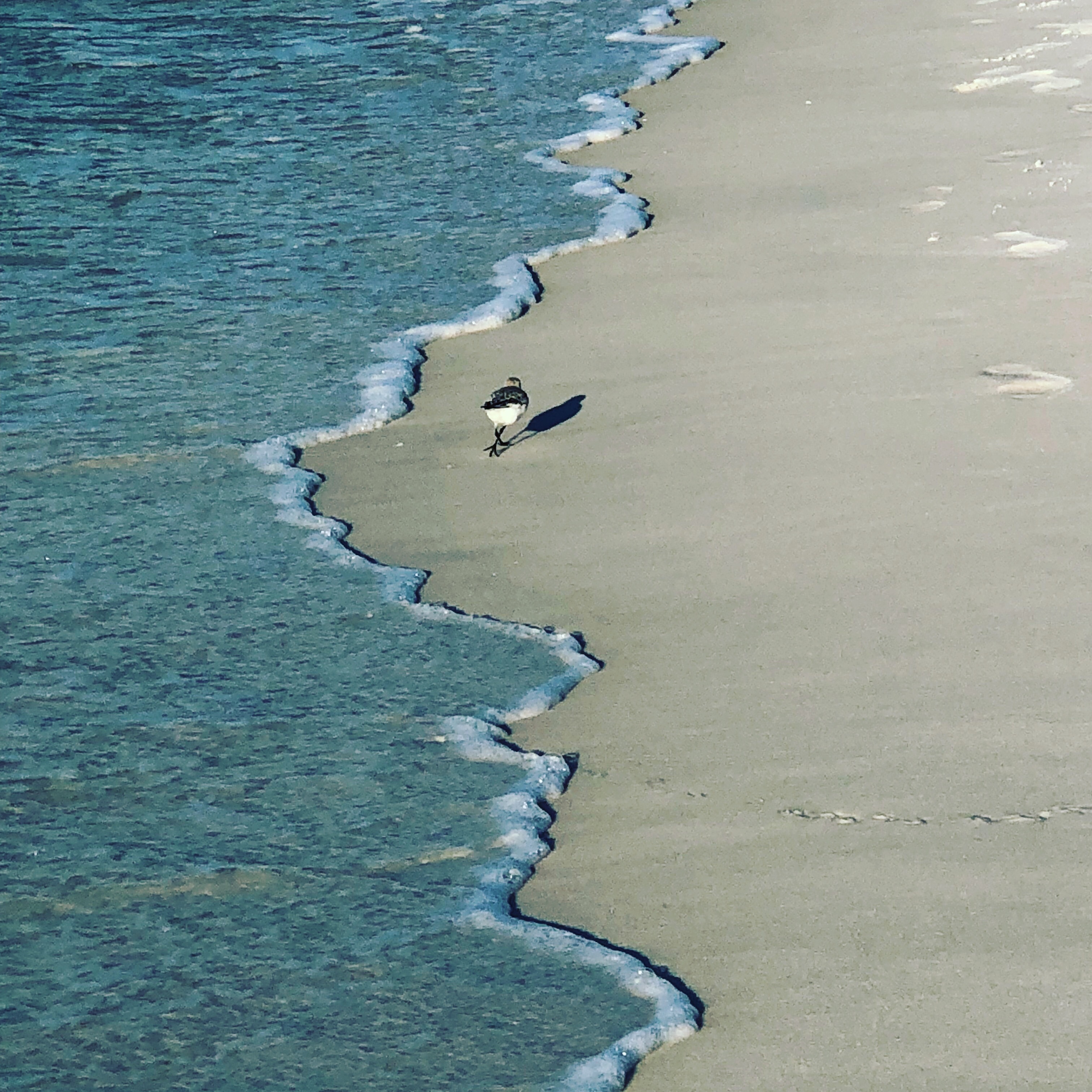 Water Beach Seashore free image download