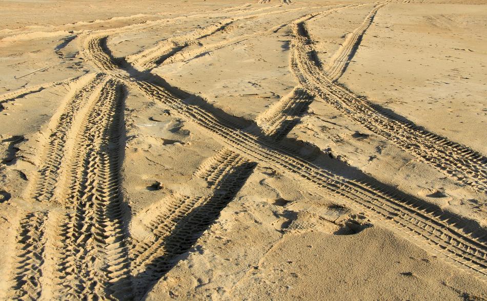 Beach Sand Tracks The free image download
