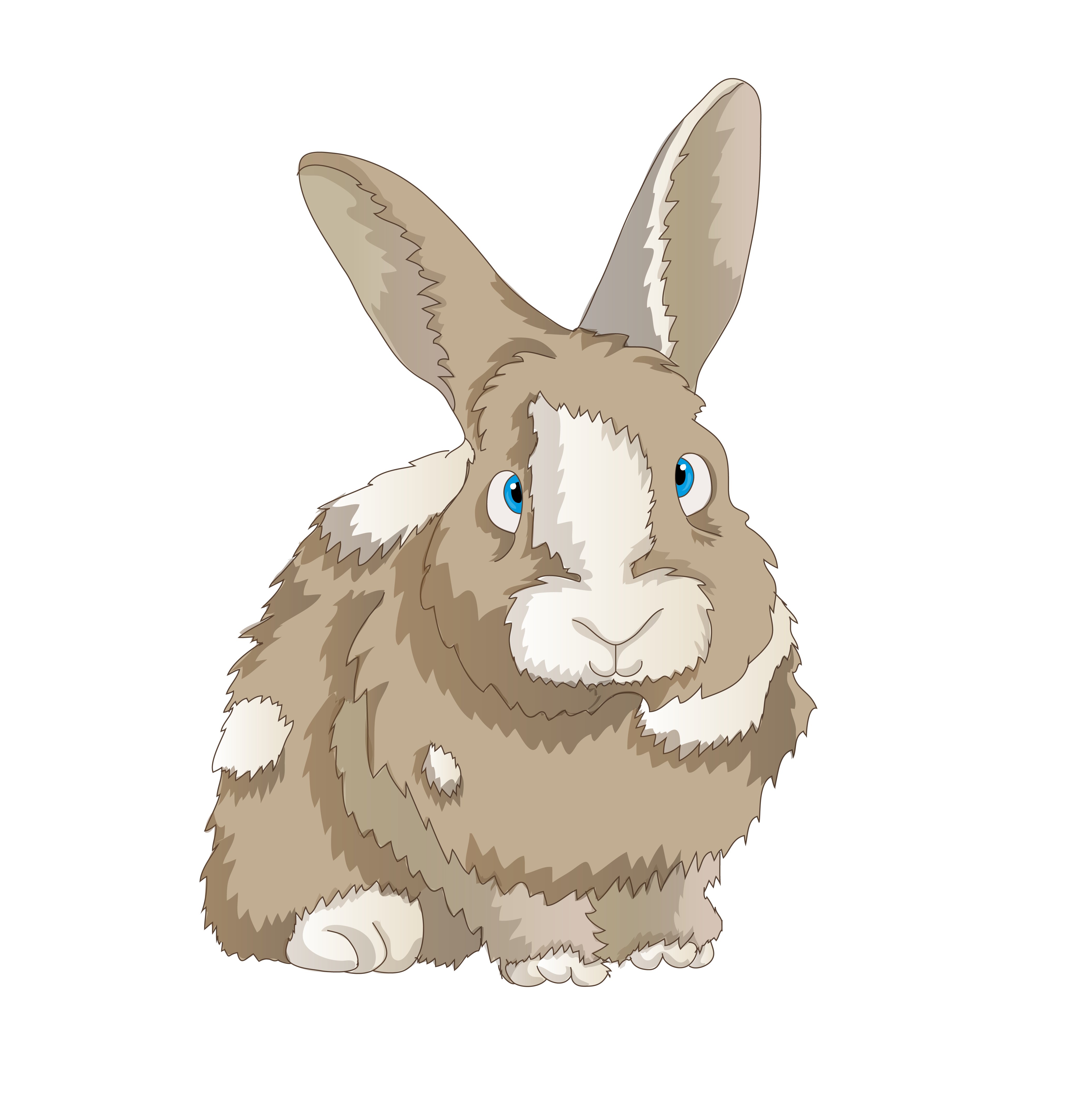 Cute dwarf rabbit long eared free image download