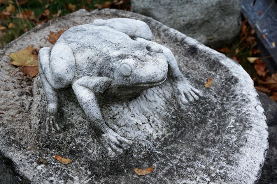 Frog Stone Sculpture free image download