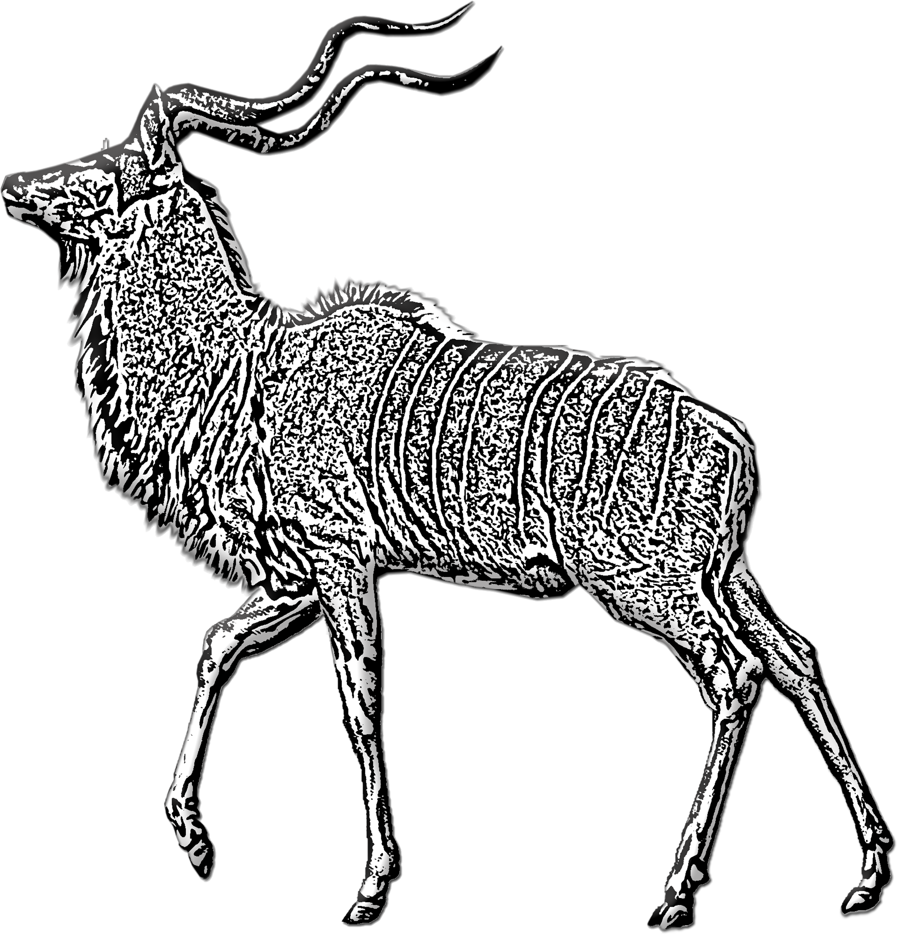 Antelope pattern free image download