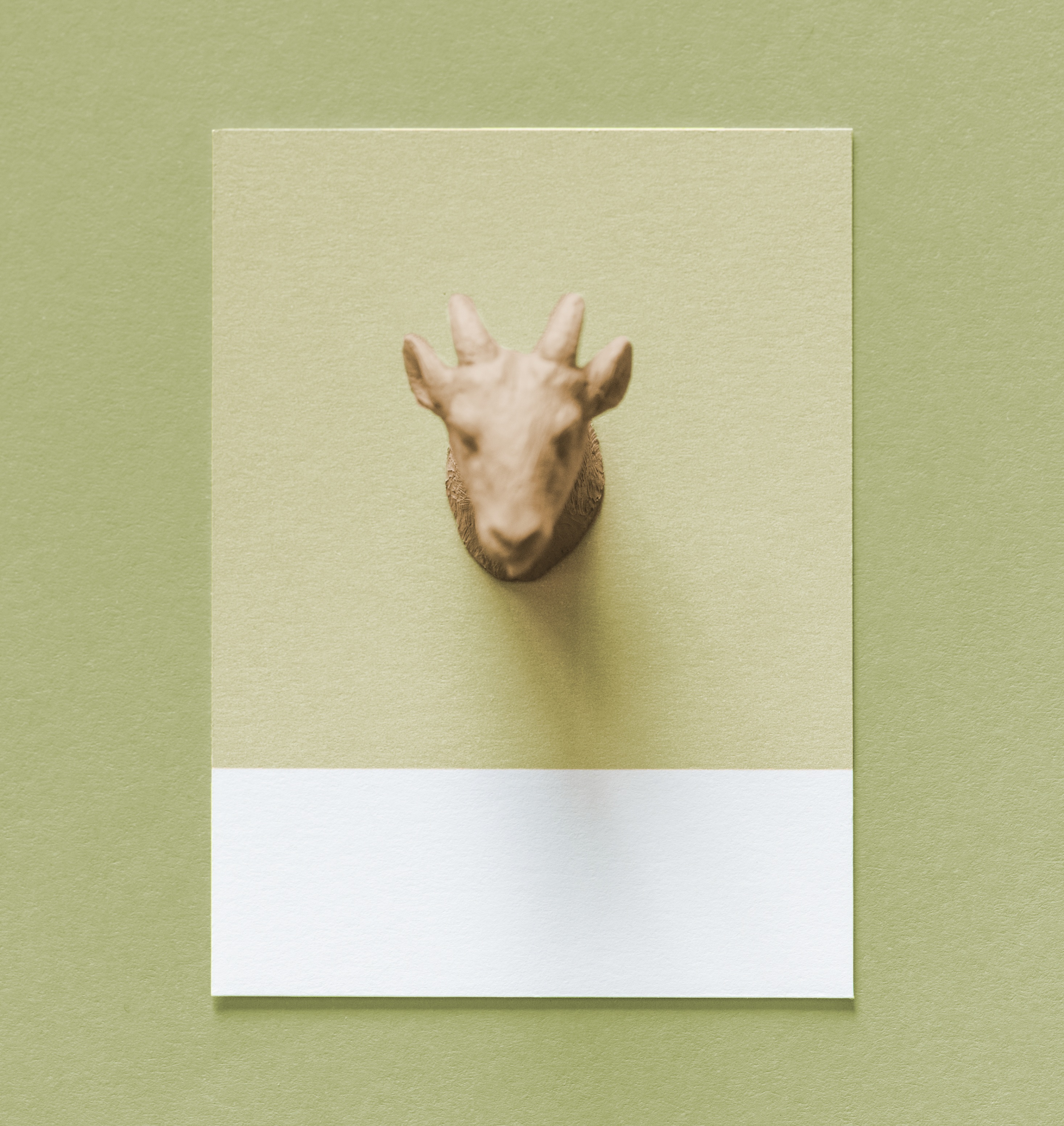 Animal head abstract free image download