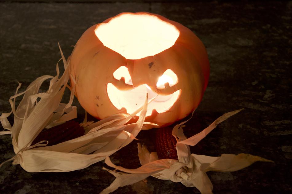 Pumpkin light orange free image download